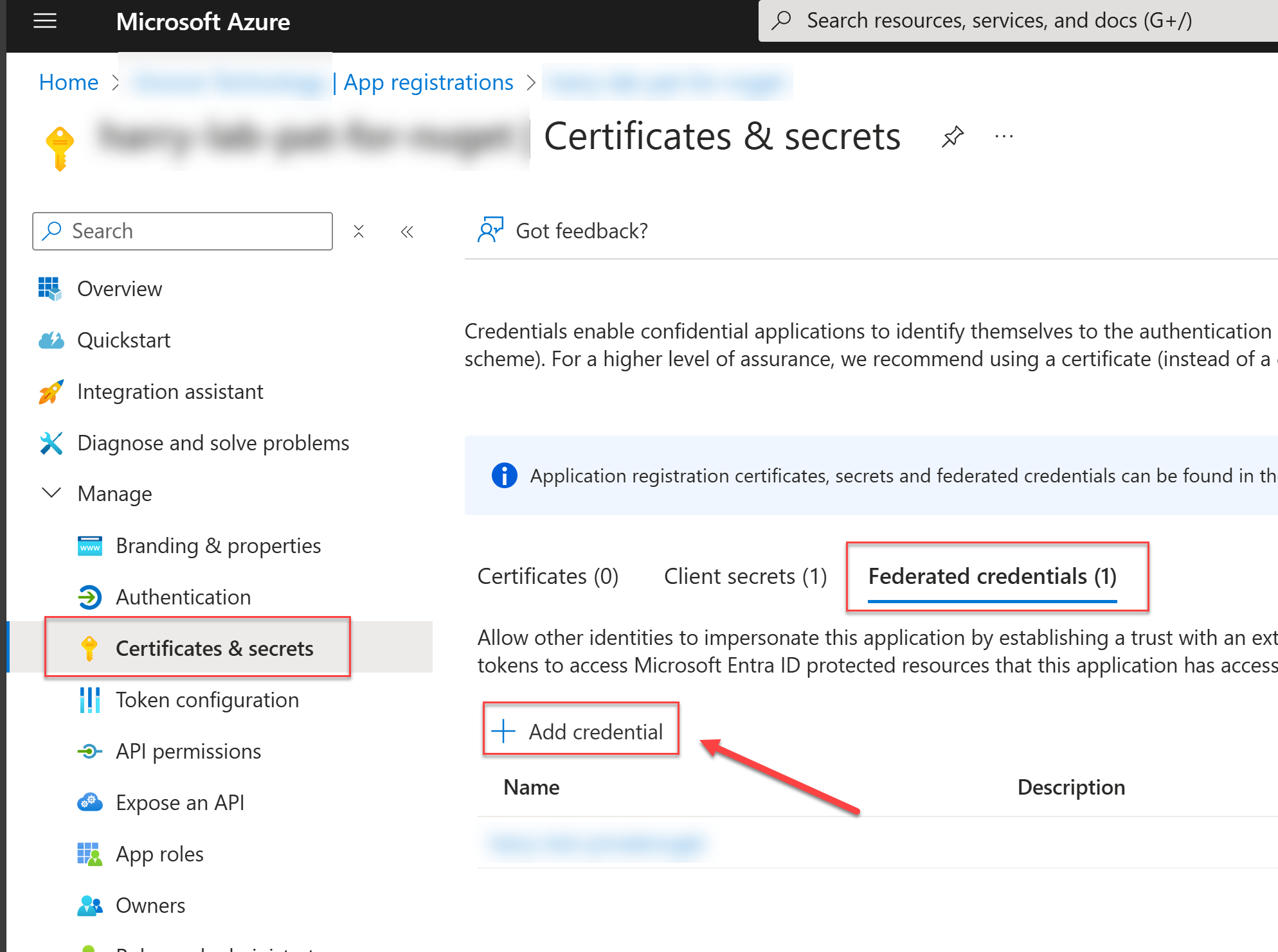 Github Action: Accessing Azure DevOps NuGet Feed Using Service Principal and Federated ...